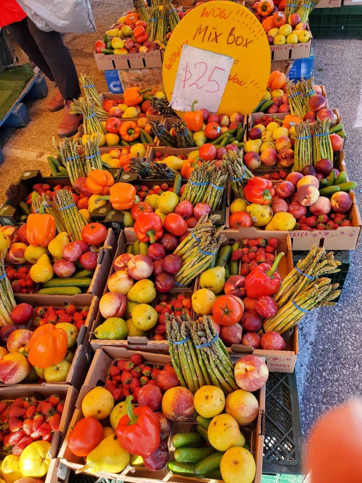 A Weekend In Kitchener: How To Make The Most Of Your Visit ...
